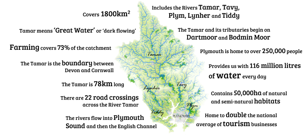 Home (old) | My Tamar